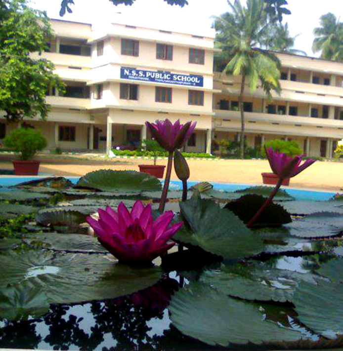 N.S.S. PUBLIC SCHOOL